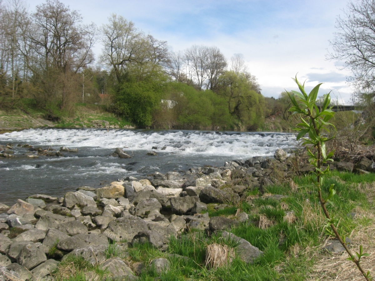 Bilder Iller – Naturraum Iller